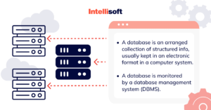 Different Methods to Safeguard Your Software Intellectual Property