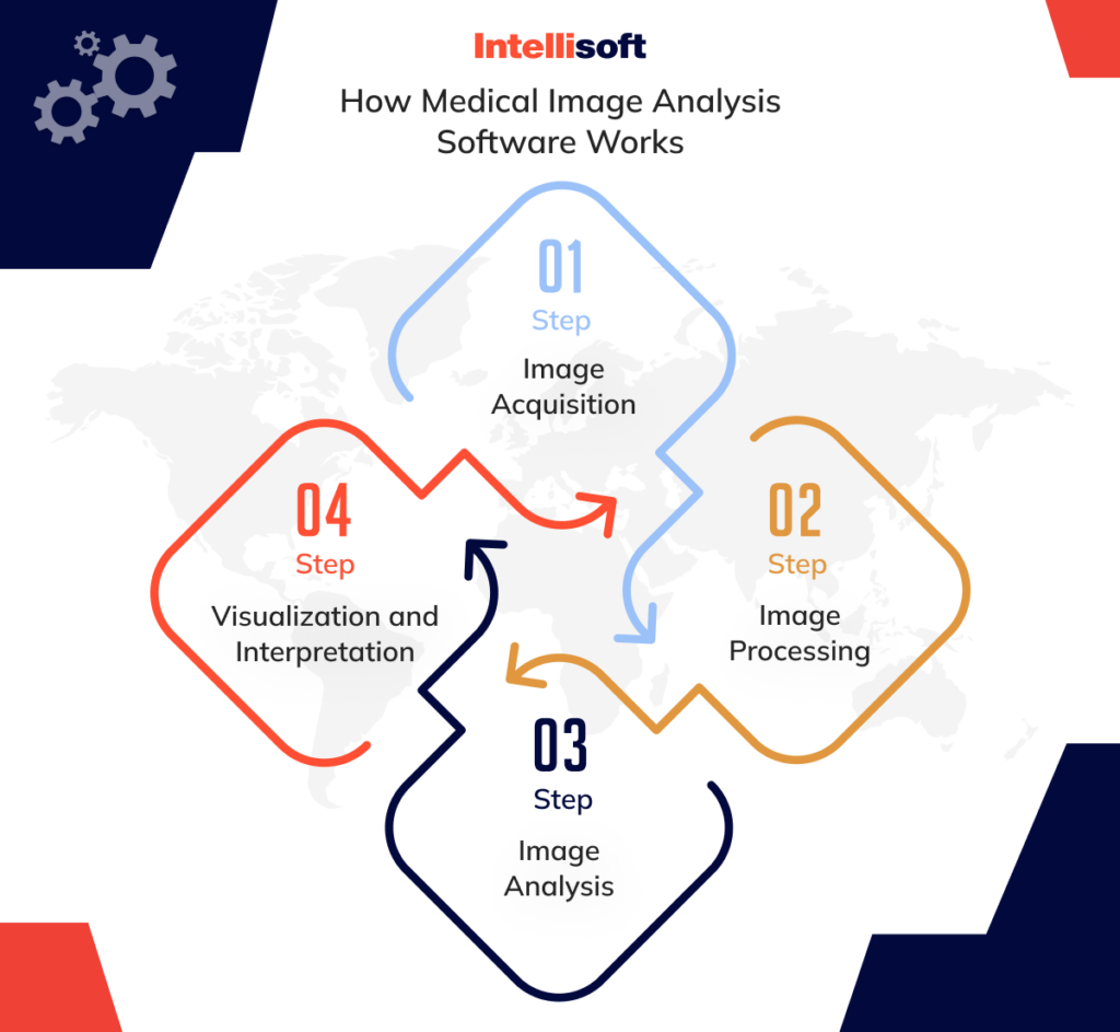 Medical Imaging Software: Detailed Guide